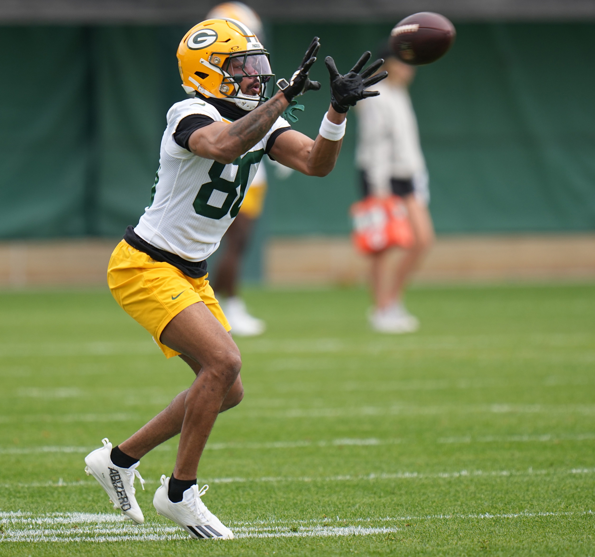 Will An Overcrowded Room Force the Packers To Cut Ties With Productive ...